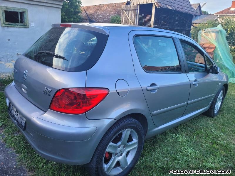 Peugeot 307 Kompletan Auto U Delovima