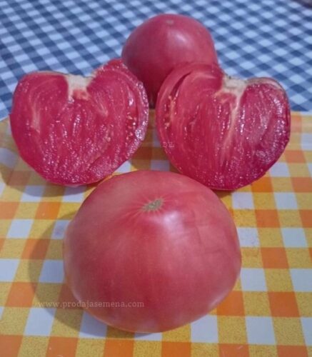 Seme,Hibridno Volovsko srce paradajz…