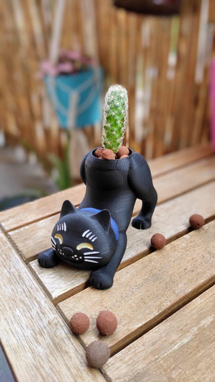 Crna mačka saksija/dekoracija