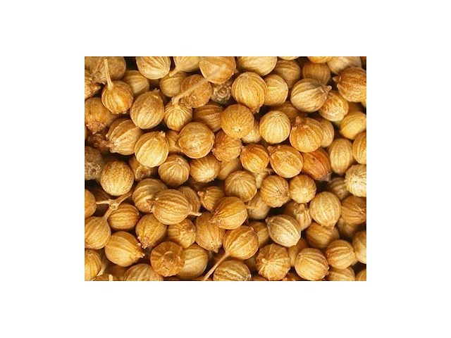 Korijander..3 g. 450+ semena