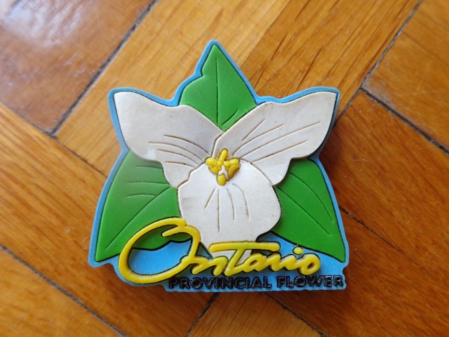 ONTARIO provincial flower, magnet za frizider