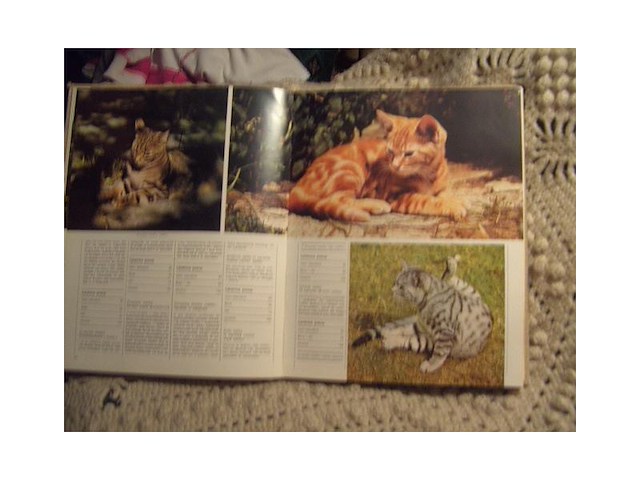 Macke, enciklopedija o mačkama Larus Larousse