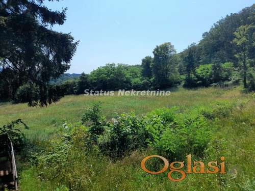 Vrdnik-Veliki Plac 13568 m2 u blizini *Fruške Terme* pogodan za Rezistencionalne Vile-065/385 8880