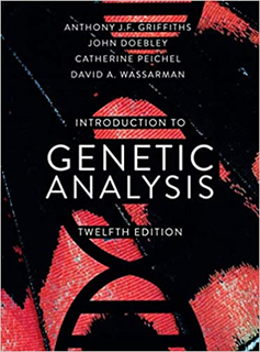 An introduction to genetics An