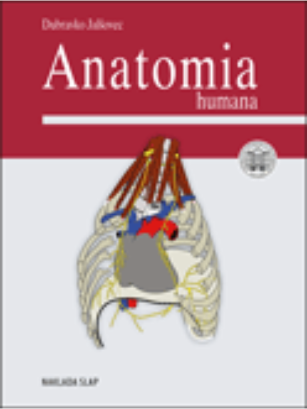 Anatomia humana