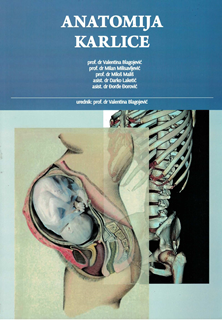 Anatomija karlice