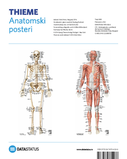 Anatomski posteri: kosti i mišići