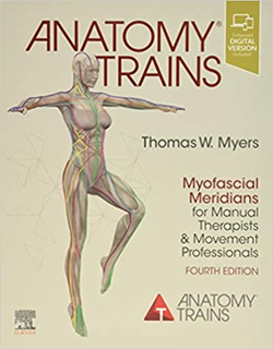 Anatomy Trains