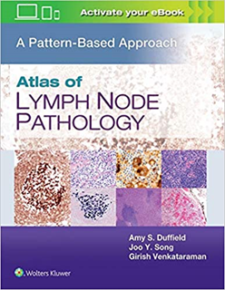 Atlas of Lymph Node Pathology A Pattern Based Approach