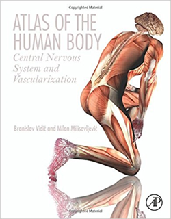 Atlas of the Human Body