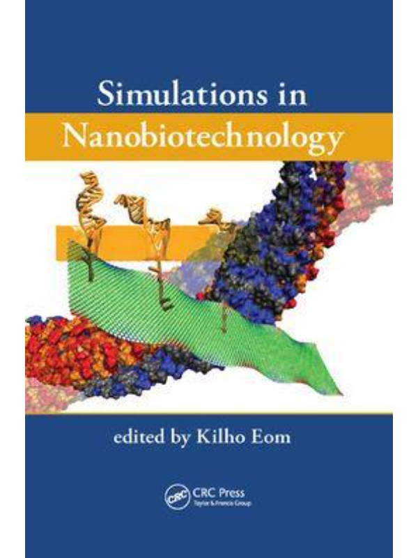 Simulations in Nanobiotechnology
