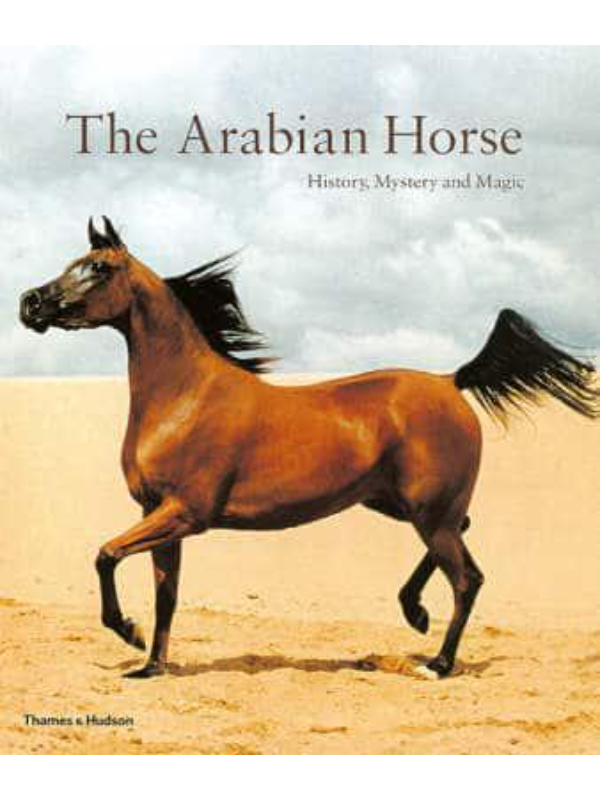 The Arabian Horse – History Mystery and