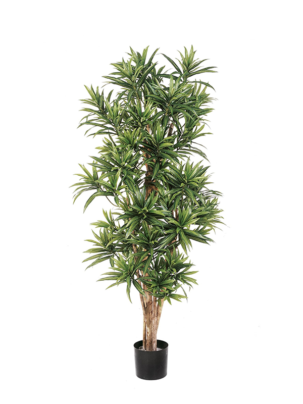 Veštačko drvo Dracena