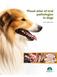 Visual atlas of oral pathologies in dogs.