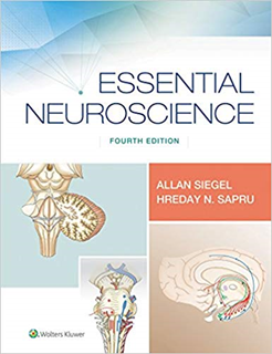 Essential Neuroscience 4E Pb