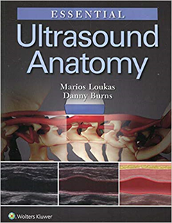 ESSENTIAL ULTRASOUND ANATOMY PB