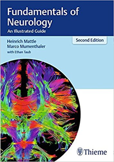 Fundamentals of Neurology