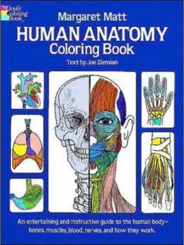 Human Anatomy