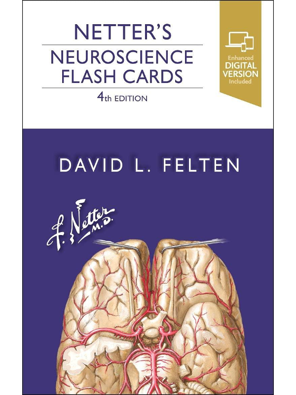 Netter’S Neuroscience Flash Cards