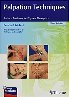 Palpation TechniquesSurface Anatomy for Physical Therapists