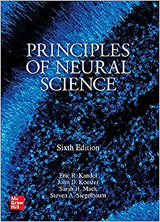 Principles of Neural Science 6th Edition