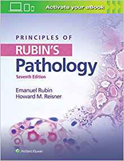 Principles Of Rubins Pathology 7E Pb