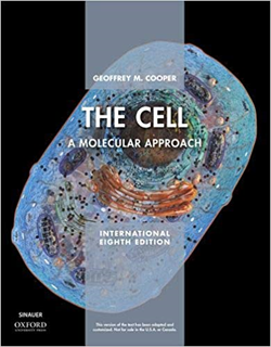 The Cell: A Molecular Approach 8th international