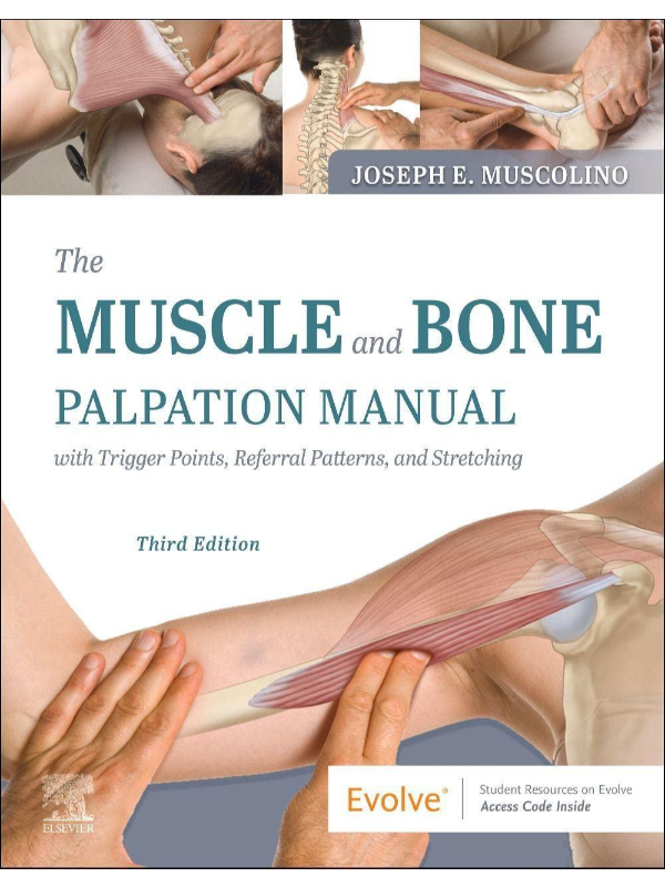The Muscle and Bone Palpation Manual with Trigger Points, Referral Patterns and Stretching, 3rd Edition