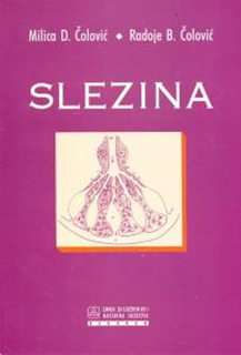 Z36375 Slezina