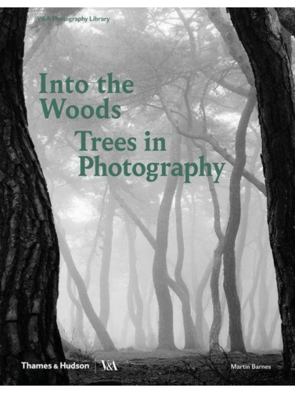 Into the Woods: Trees in Photography