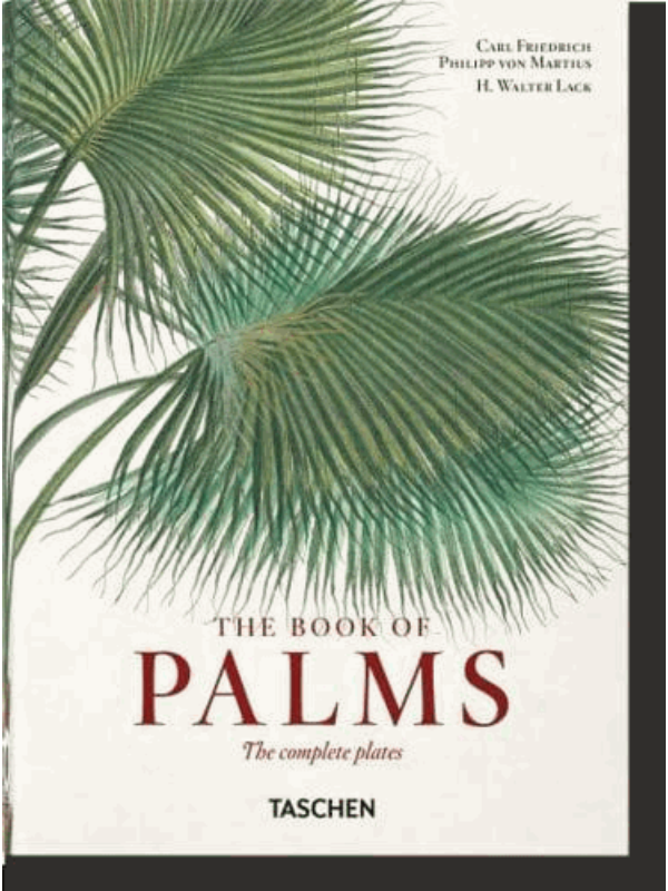 Martius. The Book of Palms. 40th Ed.