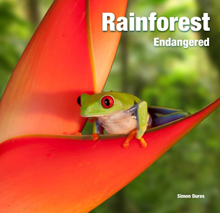 Rainforest: Endangered