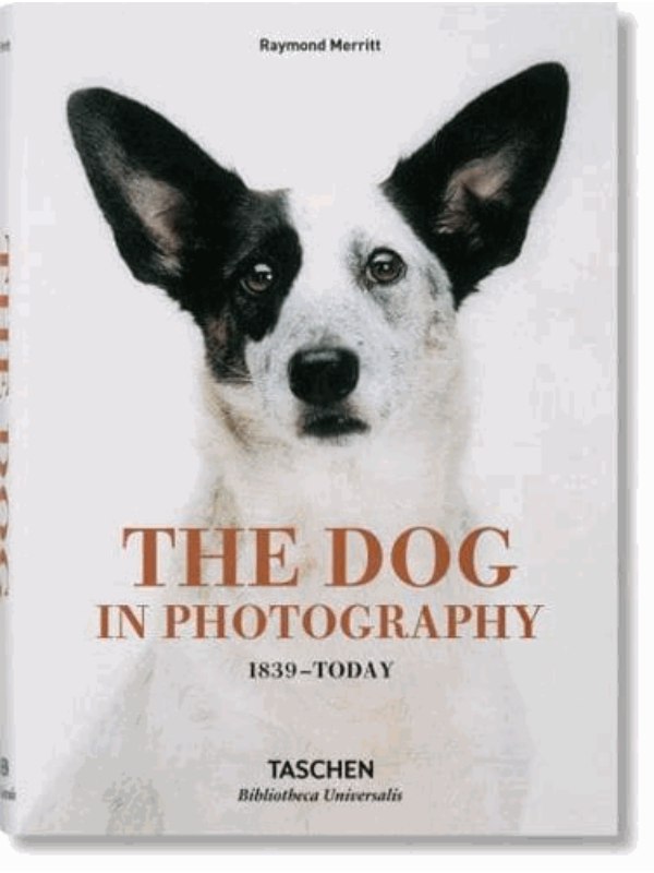 The Dog in Photography: 1839-Today