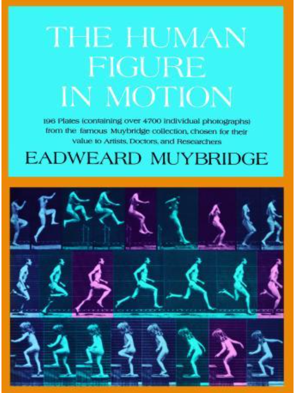 The Human Figure in Motion