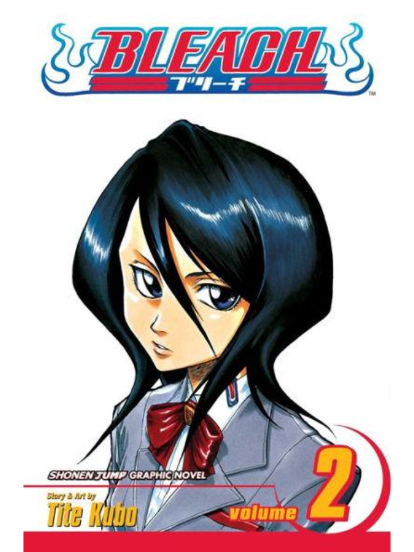 Bleach, Vol. 2