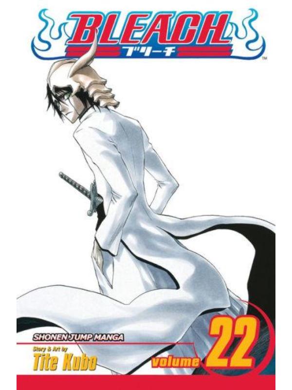 Bleach, Vol. 22