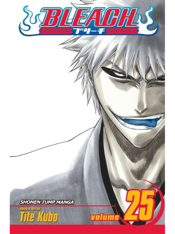 Bleach, Vol. 25