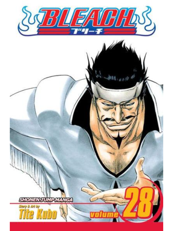 Bleach, Vol. 28