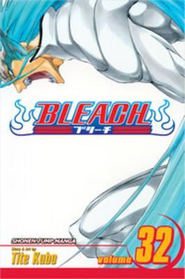 Bleach, Vol. 32