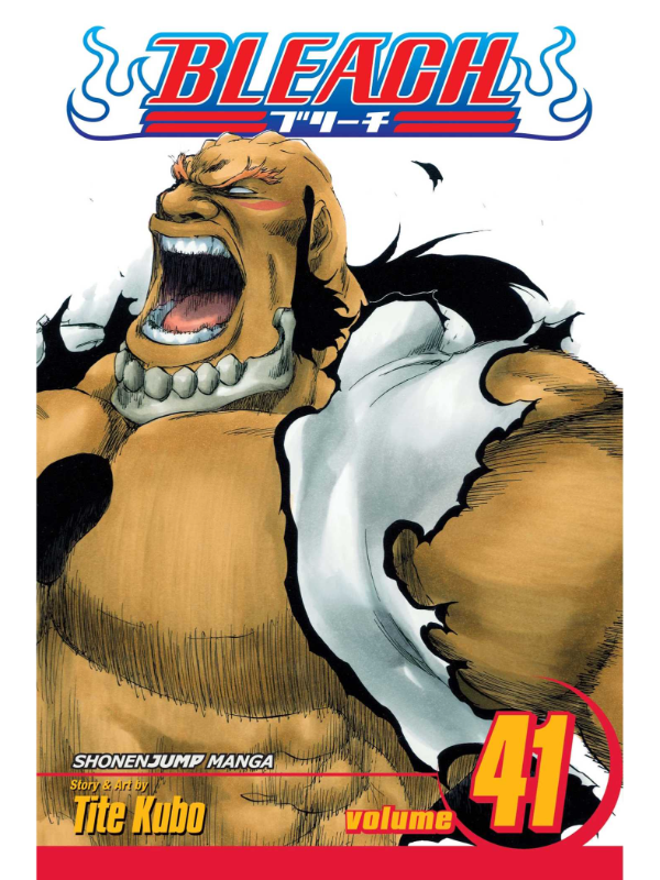 Bleach, Vol. 41