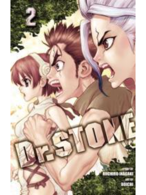 Dr. Stone, Vol. 2 Pa