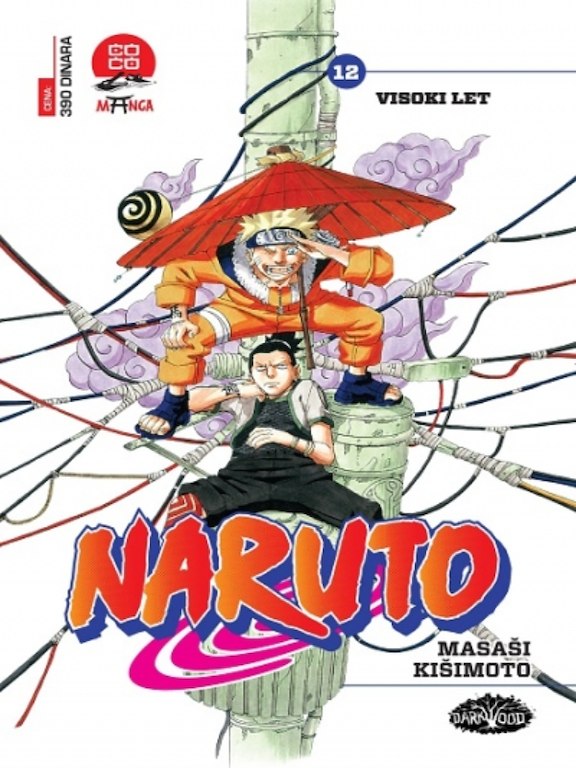 Naruto 12