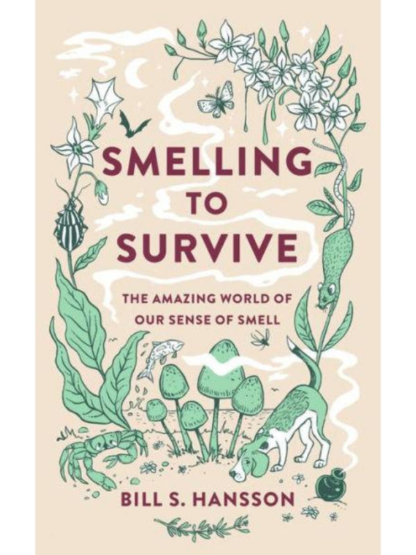 Smelling to Survive : The Amazing World of Our Sense of Smell