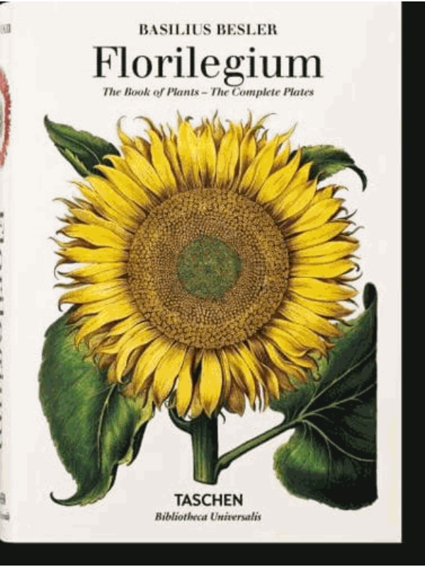 bu Basilius Besler`s Florilgium. The Book of Plants