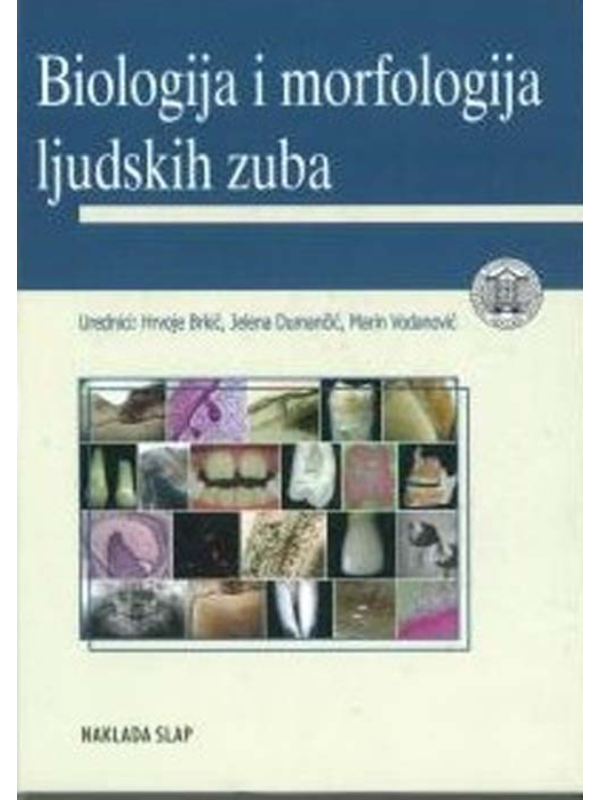 Biologija i morfologija ljudskih zuba