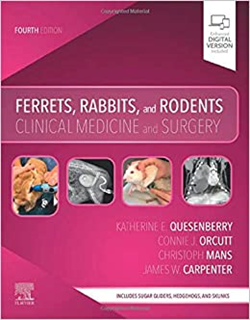 Ferrets, Rabbits, and Rodents : Clinical Medicine and Surgery