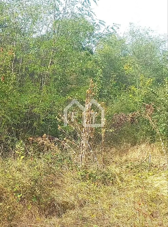 Prodaja, zemljište, 1900m2, Sremčica, Beograd