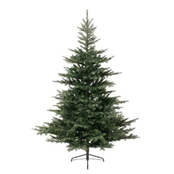 Novogodišnja jelka Grandis fir 240cm-162cm Everlands