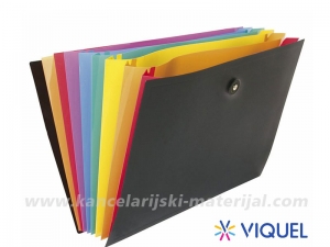 Viquel RAINBOW Expanding organizer sa 8 pregrada