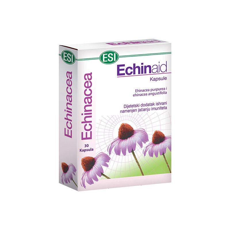 Echinaid kapsule A 30